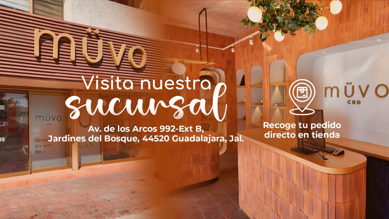 CBD en México | Müvocbd - Productos Legales y Naturales para tu Bienes